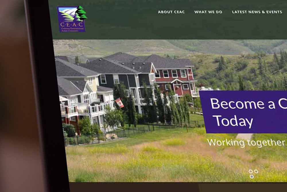 CEAC Website - Thomas Yee Designs